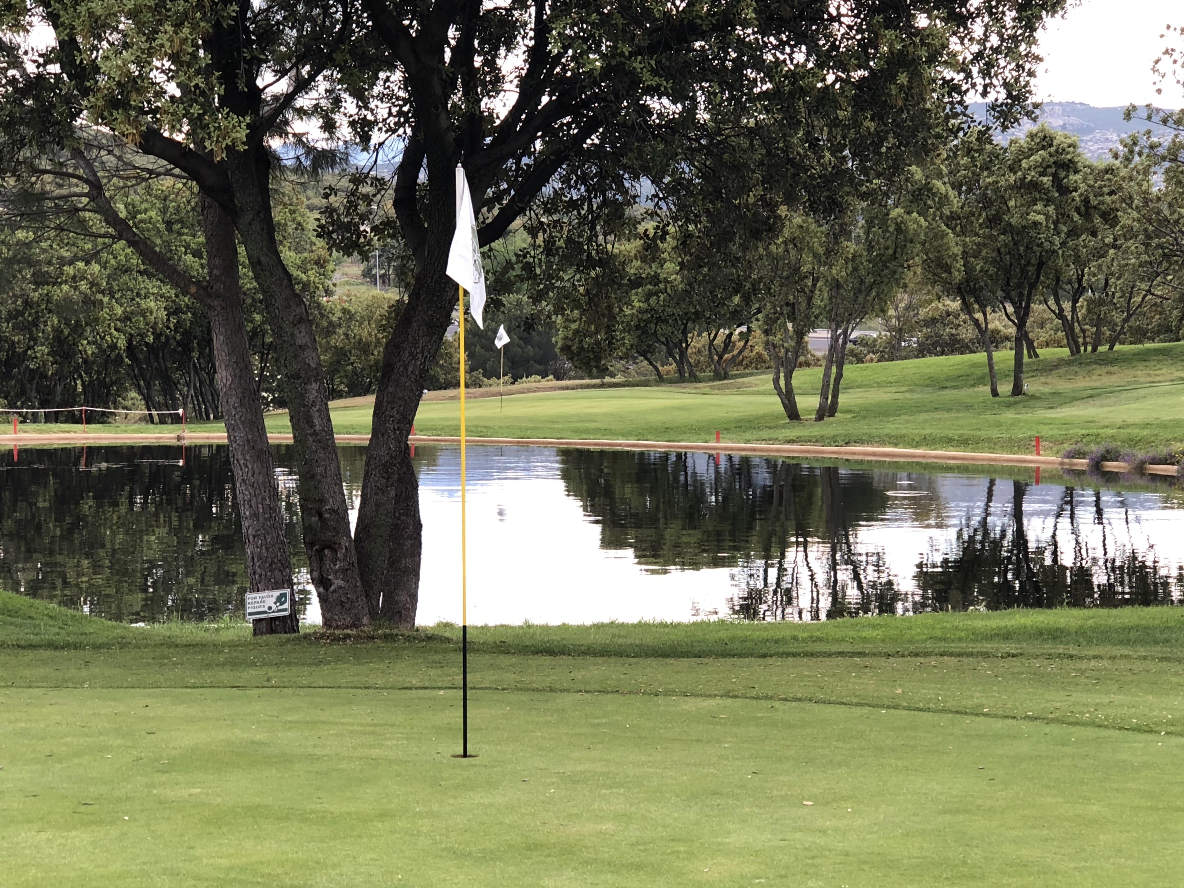 Golfmanager
